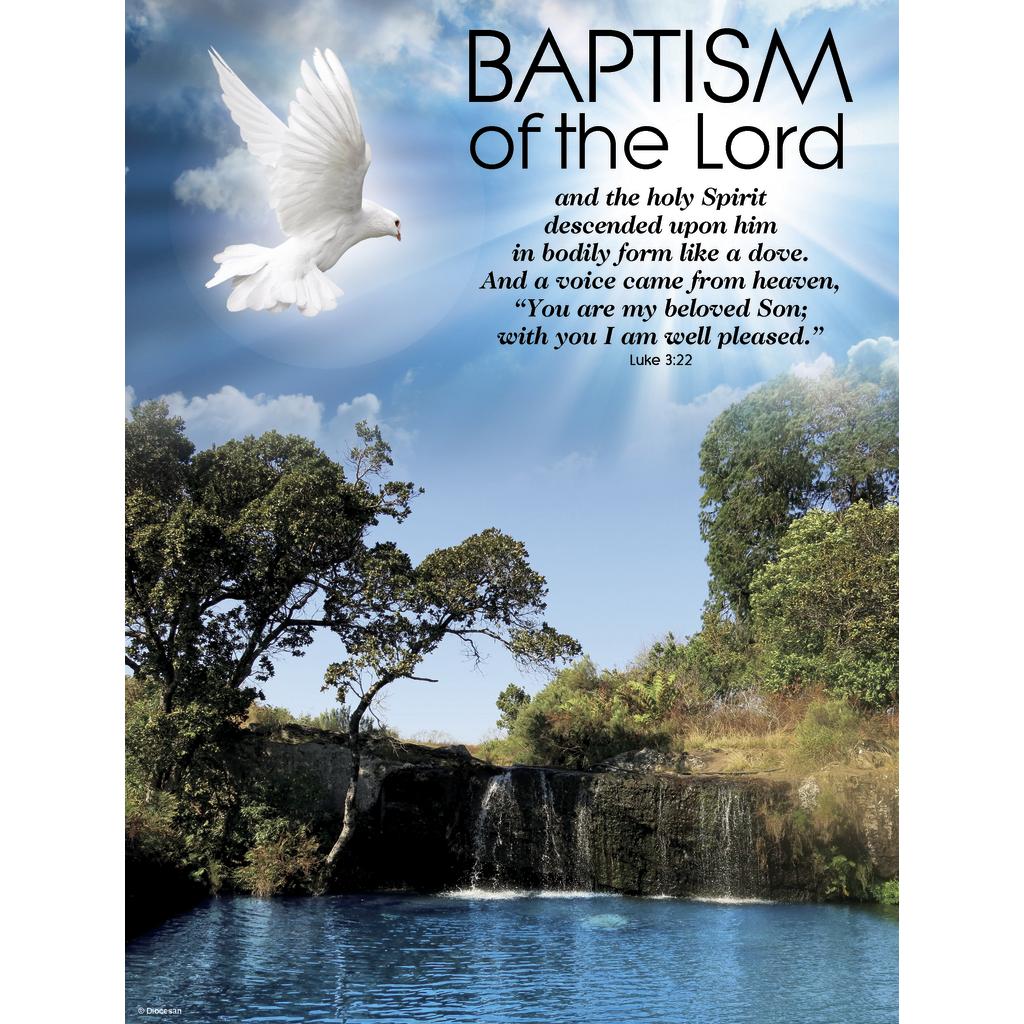 Church of St Thérèse, Mount Merrion Parish | In the heart of the Church ...